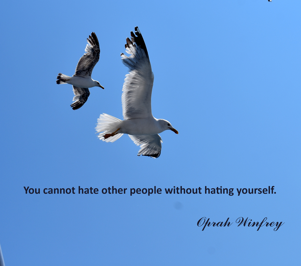 Why people hate – Embrace yourself, embrace the world