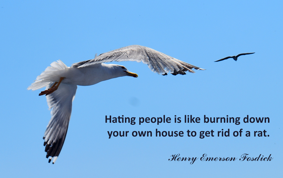 Why people hate – Embrace yourself, embrace the world